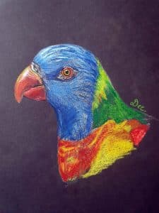 The Ultimate Beginners Guide for Drawing on Black Paper with Colored ...