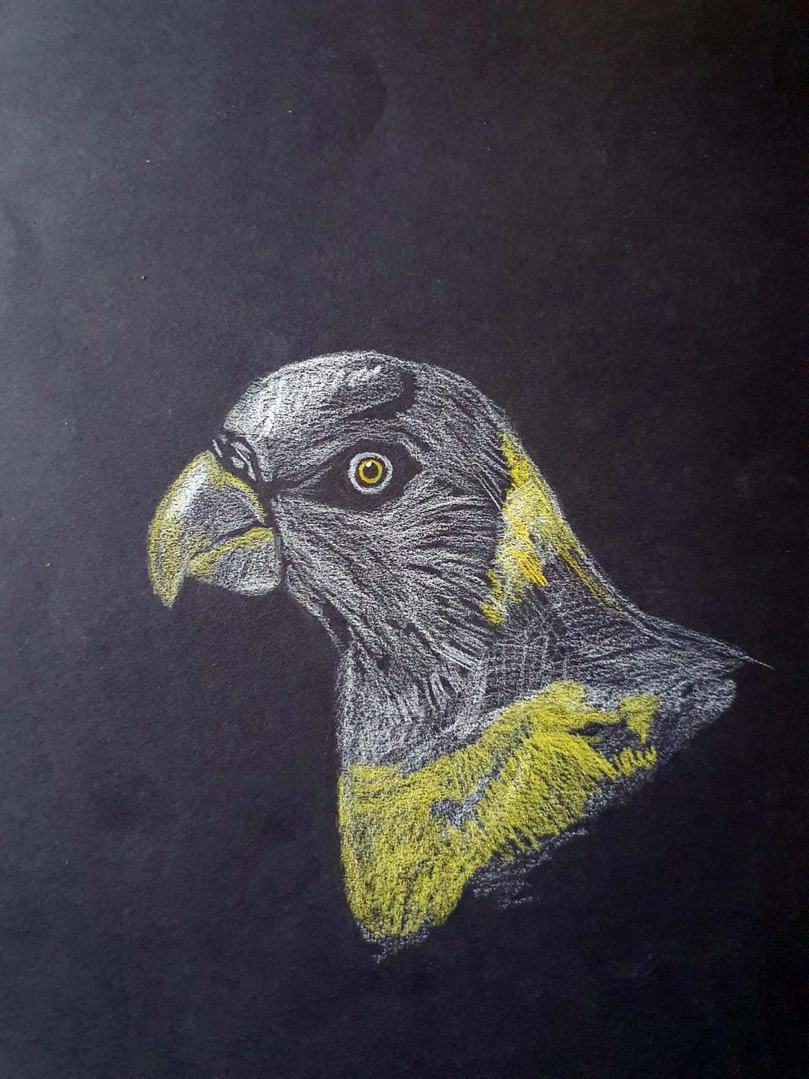 The Ultimate Beginners Guide for Drawing on Black Paper with Colored ...