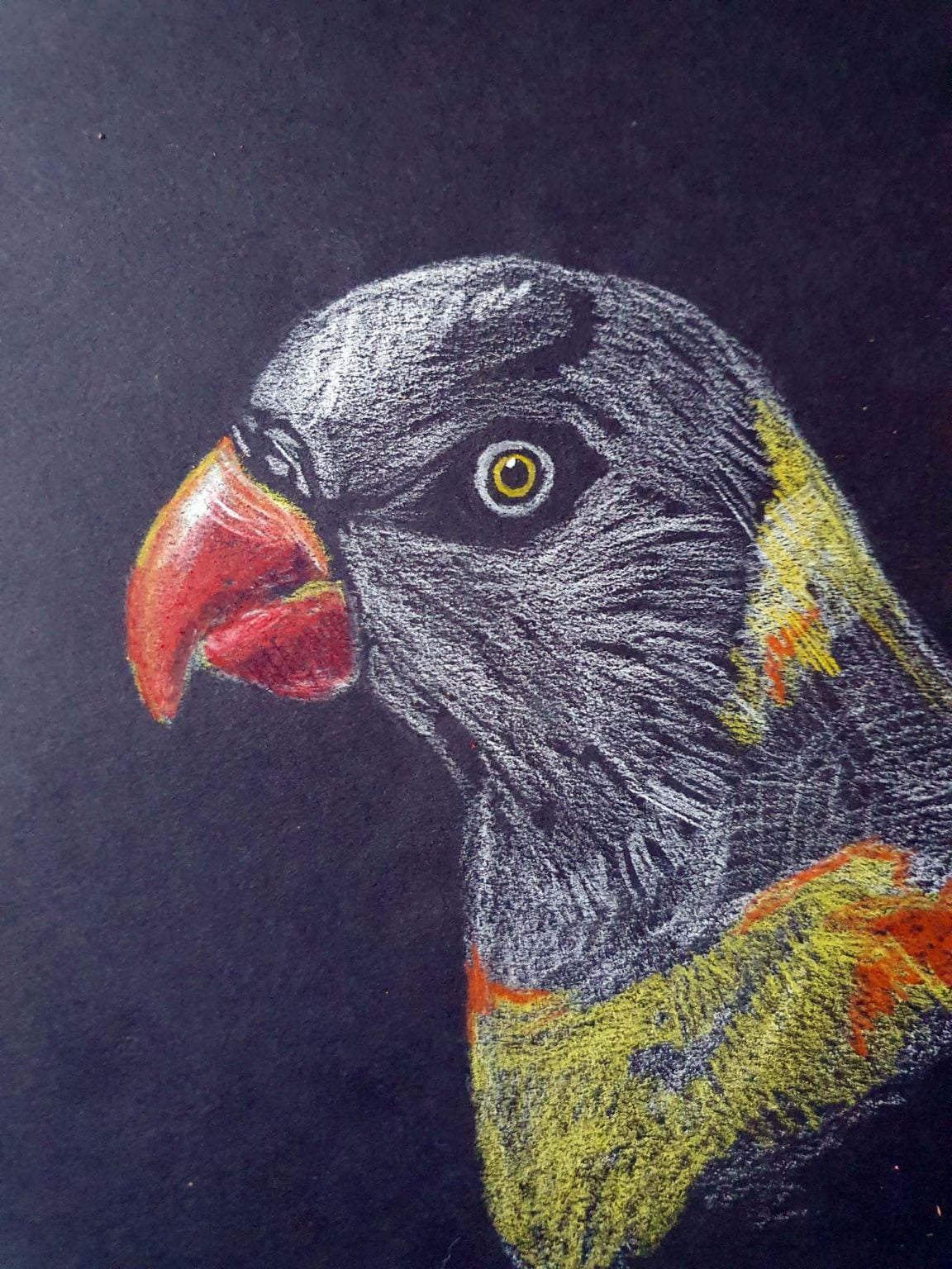 The Ultimate Beginners Guide for Drawing on Black Paper with Colored ...