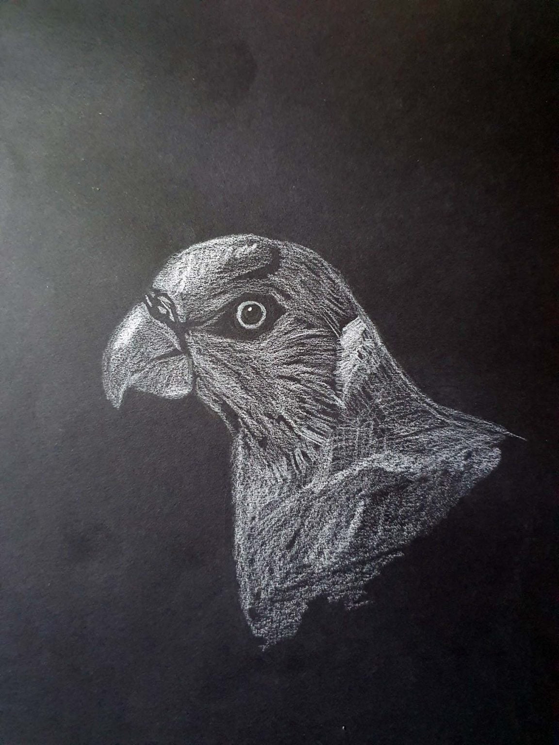 The Ultimate Beginners Guide for Drawing on Black Paper with Colored ...