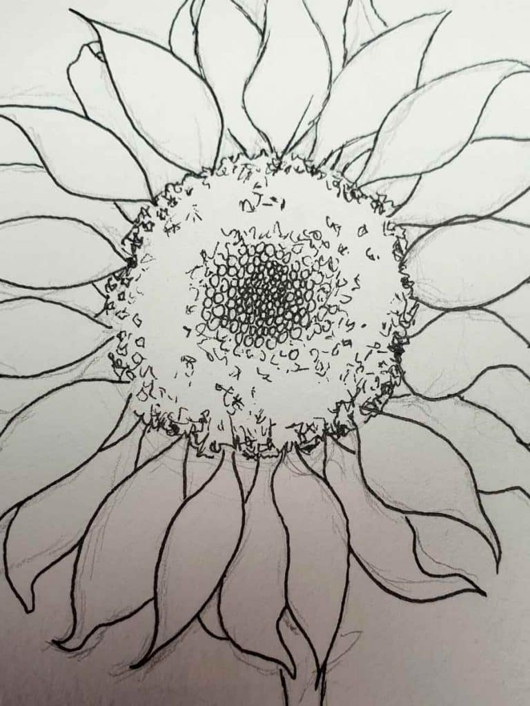 How to Do a Realistic Sunflower Pencil Drawing - Artsydee | Drawing ...