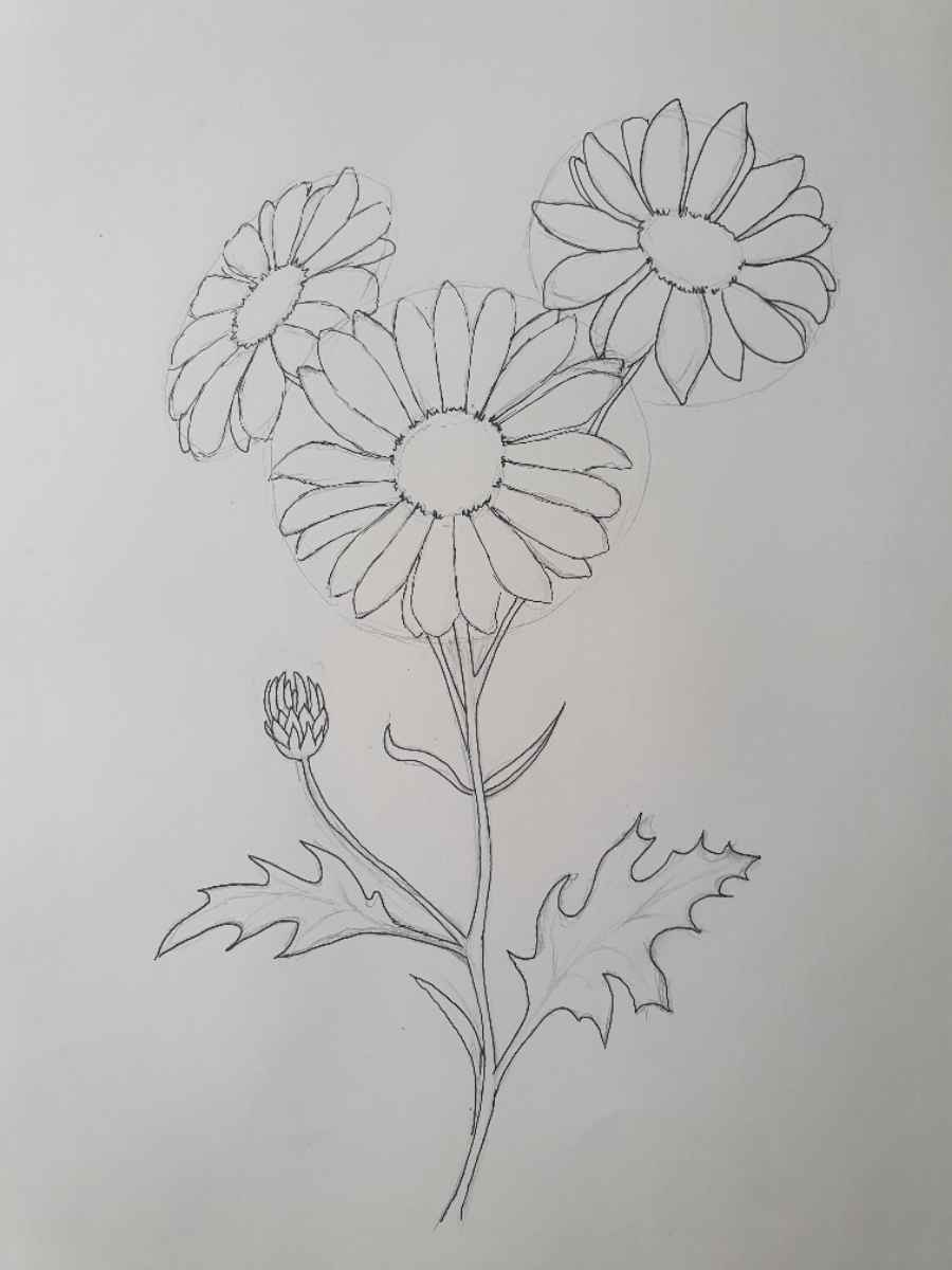 How to do a Daisy Flower Drawing: Step-By-Step - Artsydee - Drawing ...