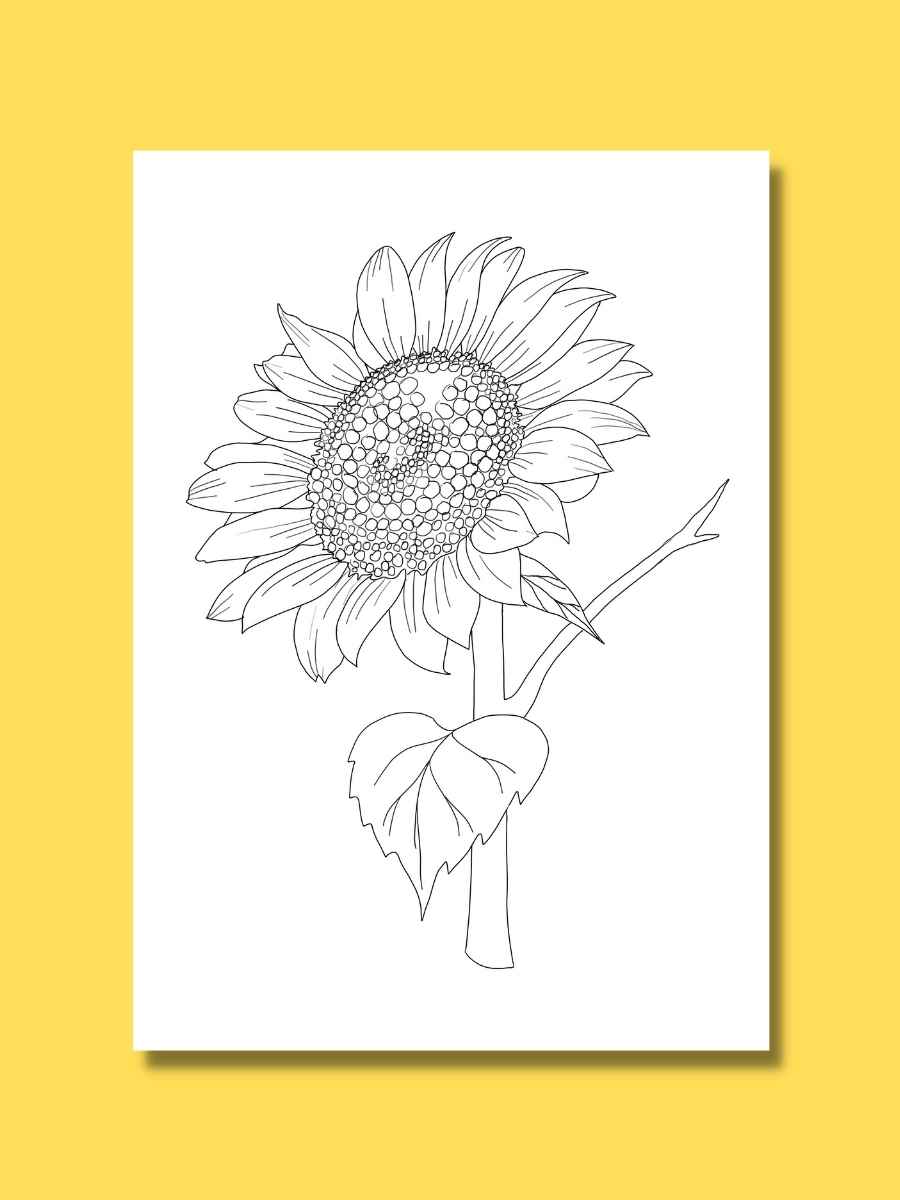 6 Free Sunflower Printables: Gorgeous Templates for your Next Artwork ...