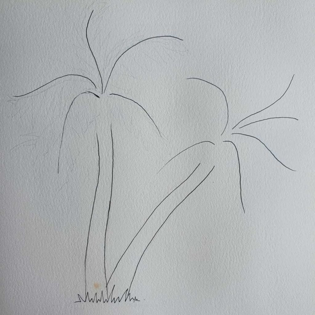 How to Draw a Palm Tree | 12 Step Palm Tree Drawing - Artsydee ...