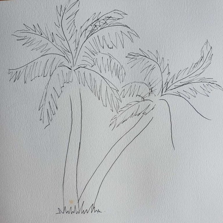 How to Draw a Palm Tree | 12 Step Palm Tree Drawing - Artsydee ...