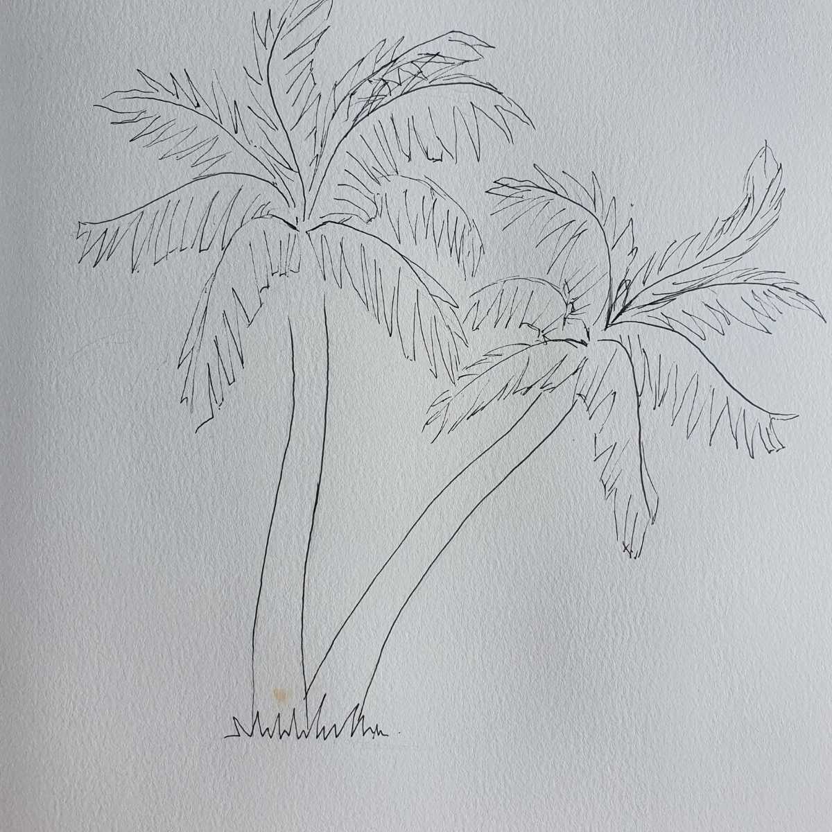 How to Draw a Palm Tree | 12 Step Palm Tree Drawing - Artsydee ...