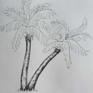 How to Draw a Palm Tree | 12 Step Palm Tree Drawing - Artsydee ...