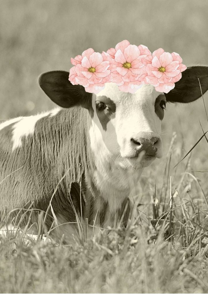 Flower Crown Drawing | How to Draw a Delicate Flower Crown in 12 Steps ...