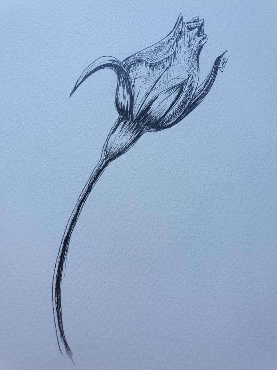 Exquisite Rose Drawing | 3 Easy Step-by-Step Tutorials – Artsydee ...