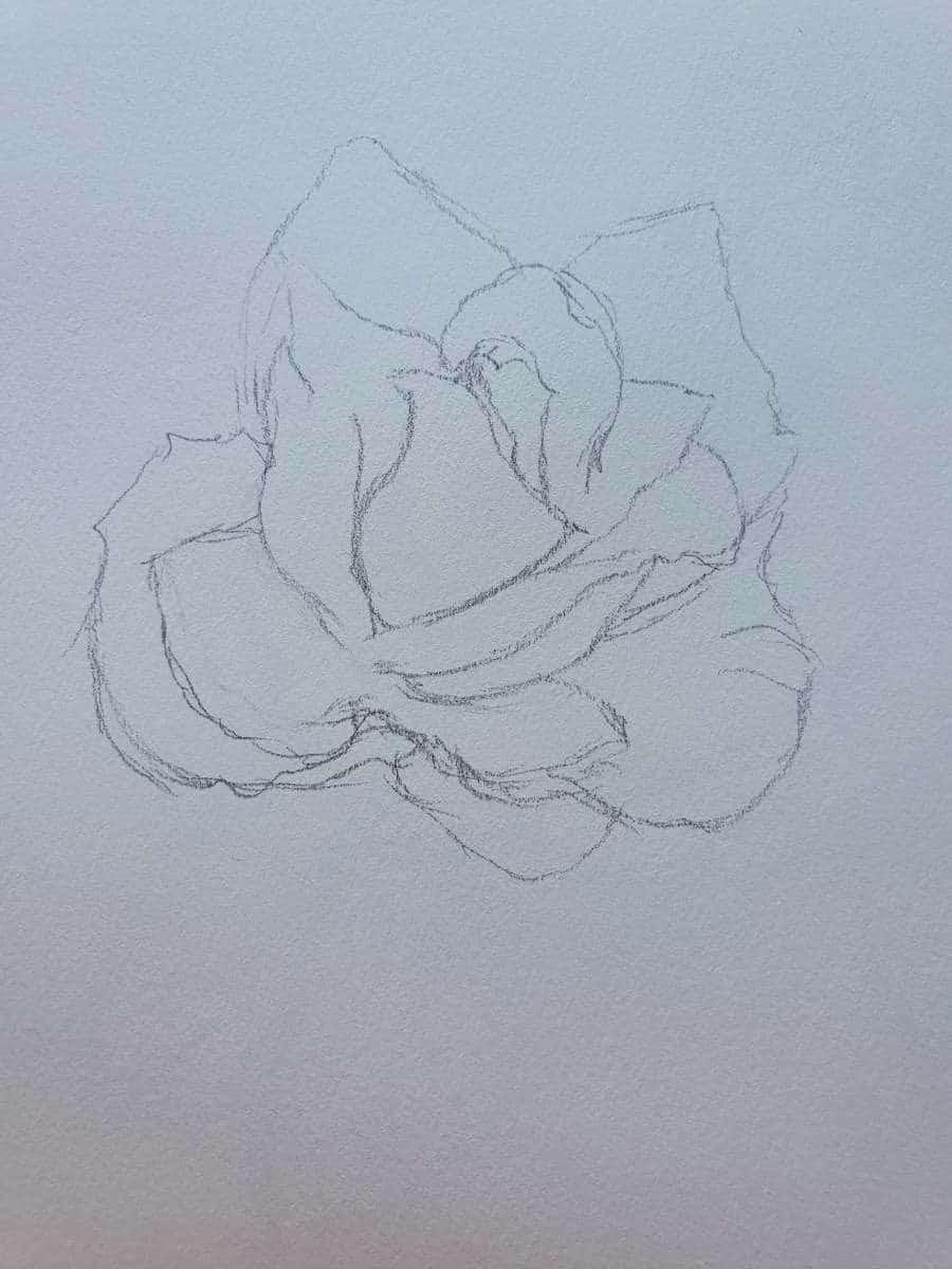 Exquisite Rose Drawing | 3 Easy Step-by-Step Tutorials – Artsydee ...