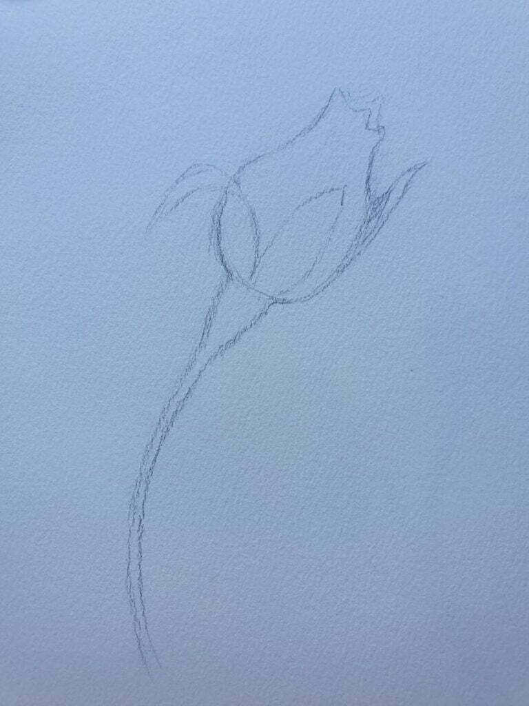 Exquisite Rose Drawing | 3 Easy Step-by-Step Tutorials – Artsydee ...