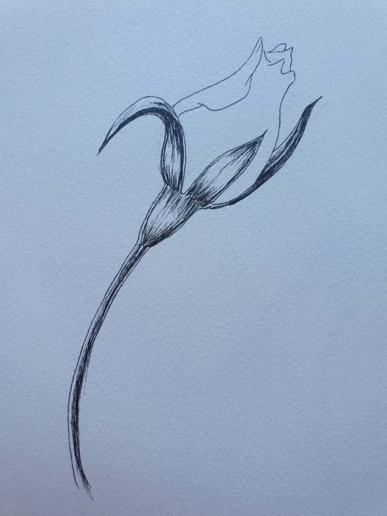Exquisite Rose Drawing | 3 Easy Step-by-Step Tutorials - Artsydee ...