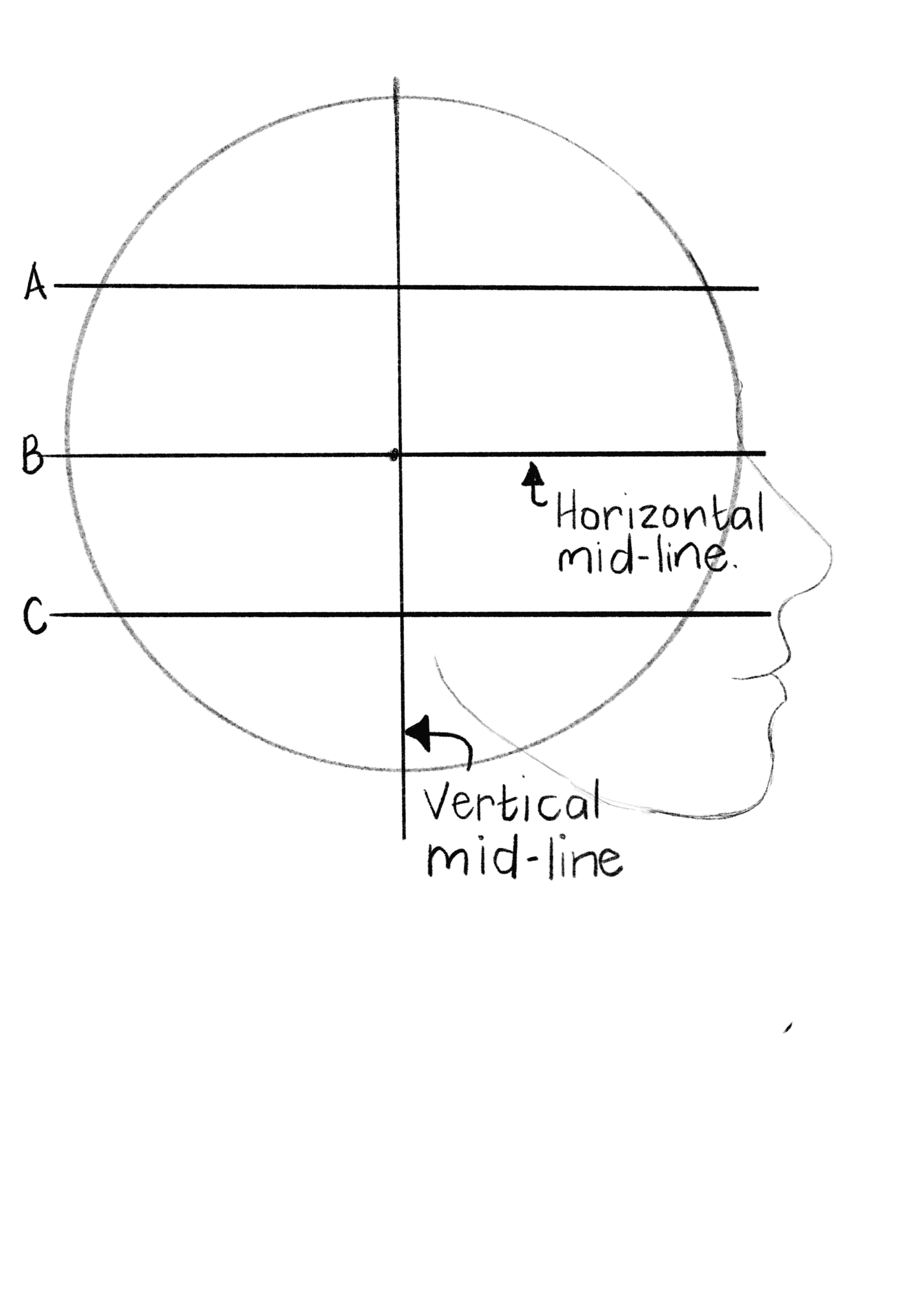 Draw Side Profiles Like a Pro: 12 Easy Steps to Perfection - Artsydee ...