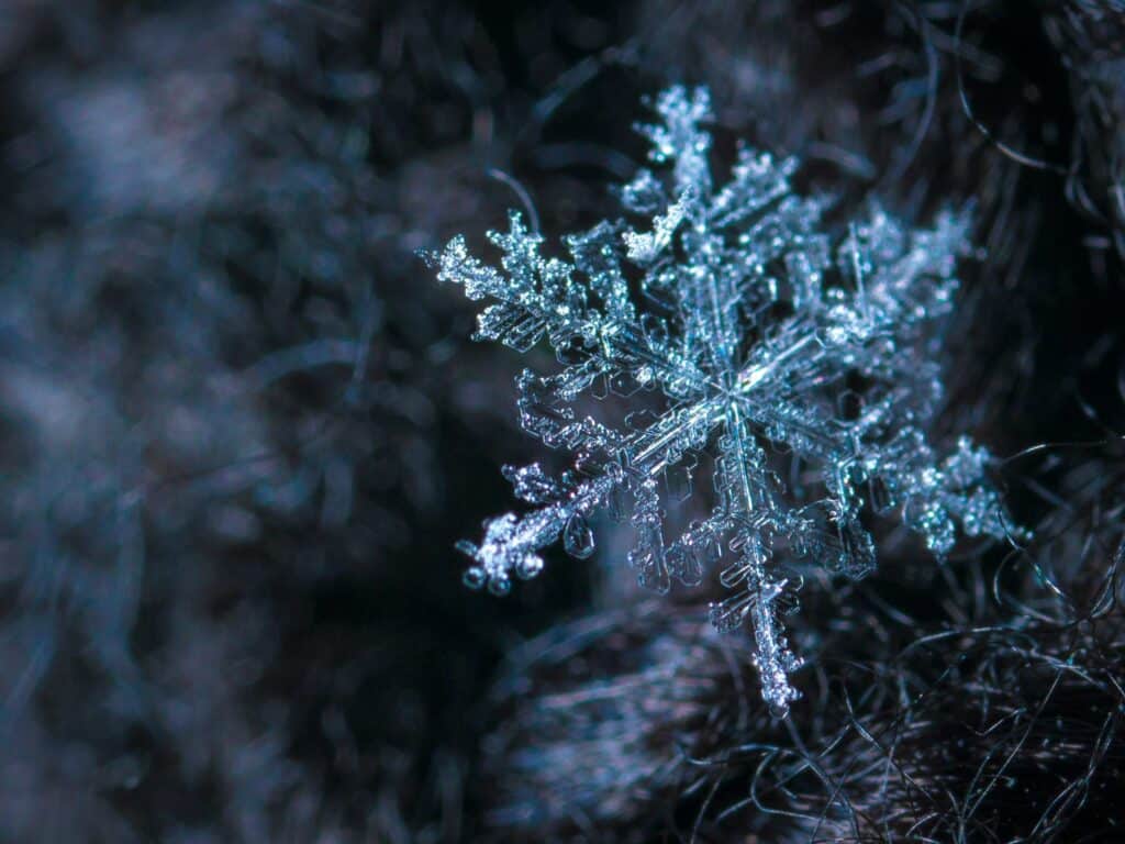 150 Wonderful Winter things to Draw - Artsydee | Drawing, Painting ...