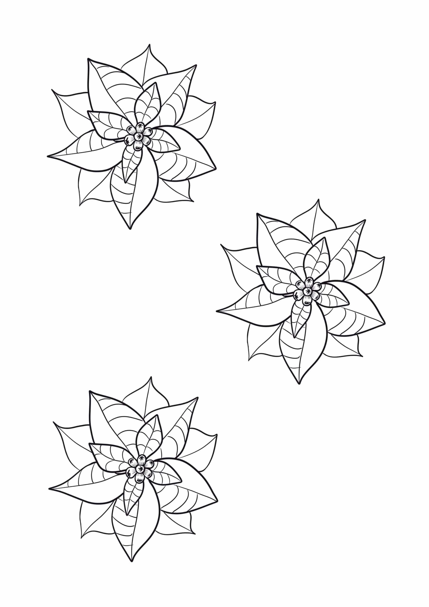 Looking for a Poinsettia template? 5 FREE Poinsettia templates ...