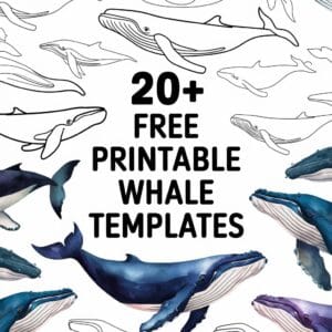 20+ Free Printable Whale Templates for Watercolor & Crafts! – Artsydee ...