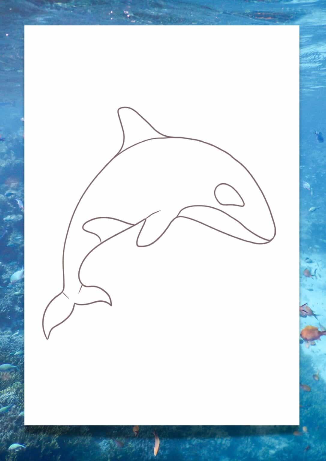 Looking for a Printable Whale Template? 6 FREE Traceable Whales ...