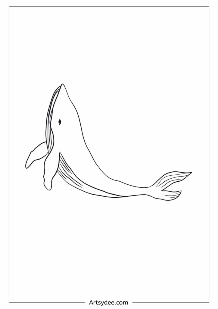 Whale Templates Printable Humpback Whale Coloring Pages (21 Free