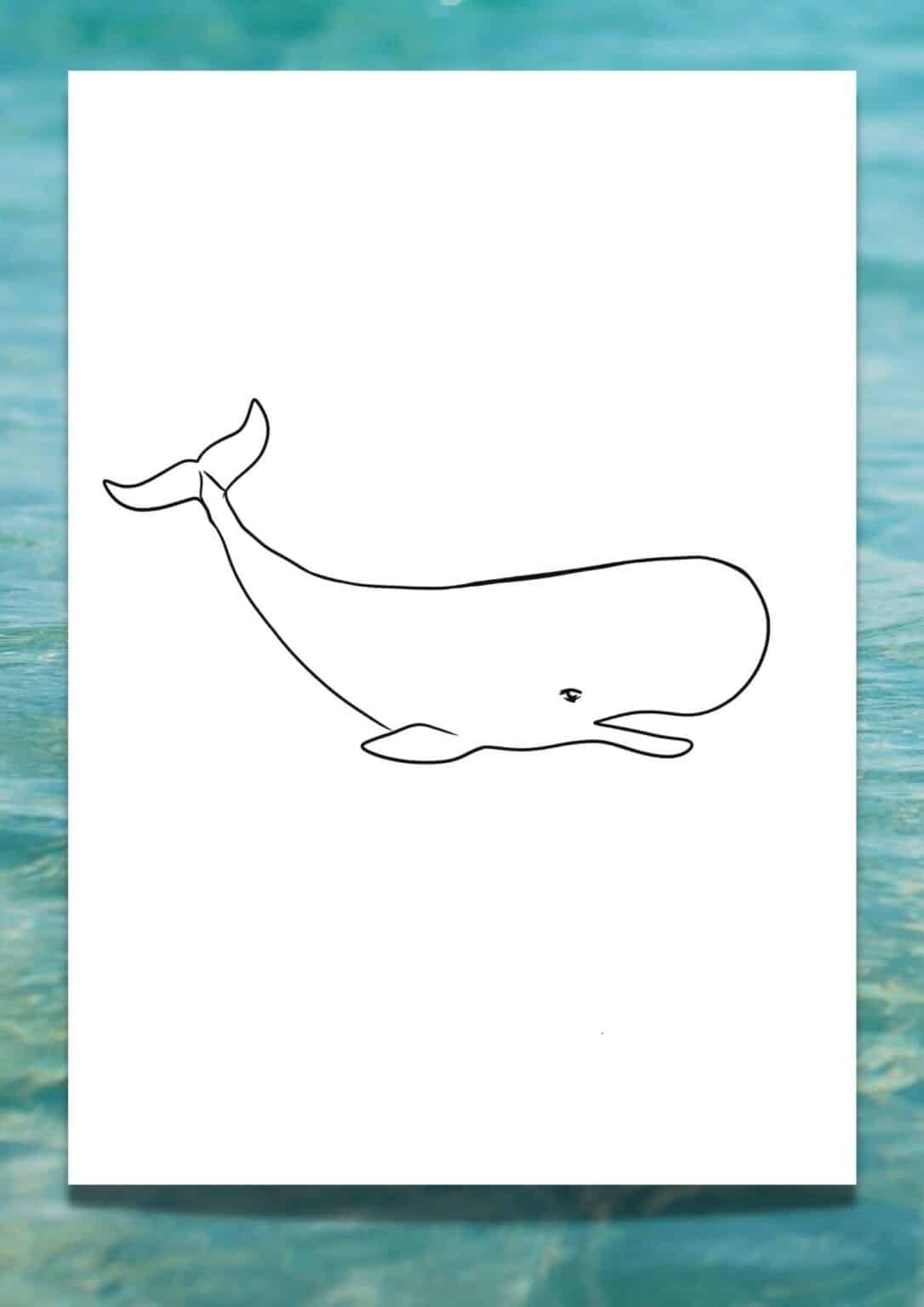 Looking for a Printable Whale Template? 6 FREE Traceable Whales ...