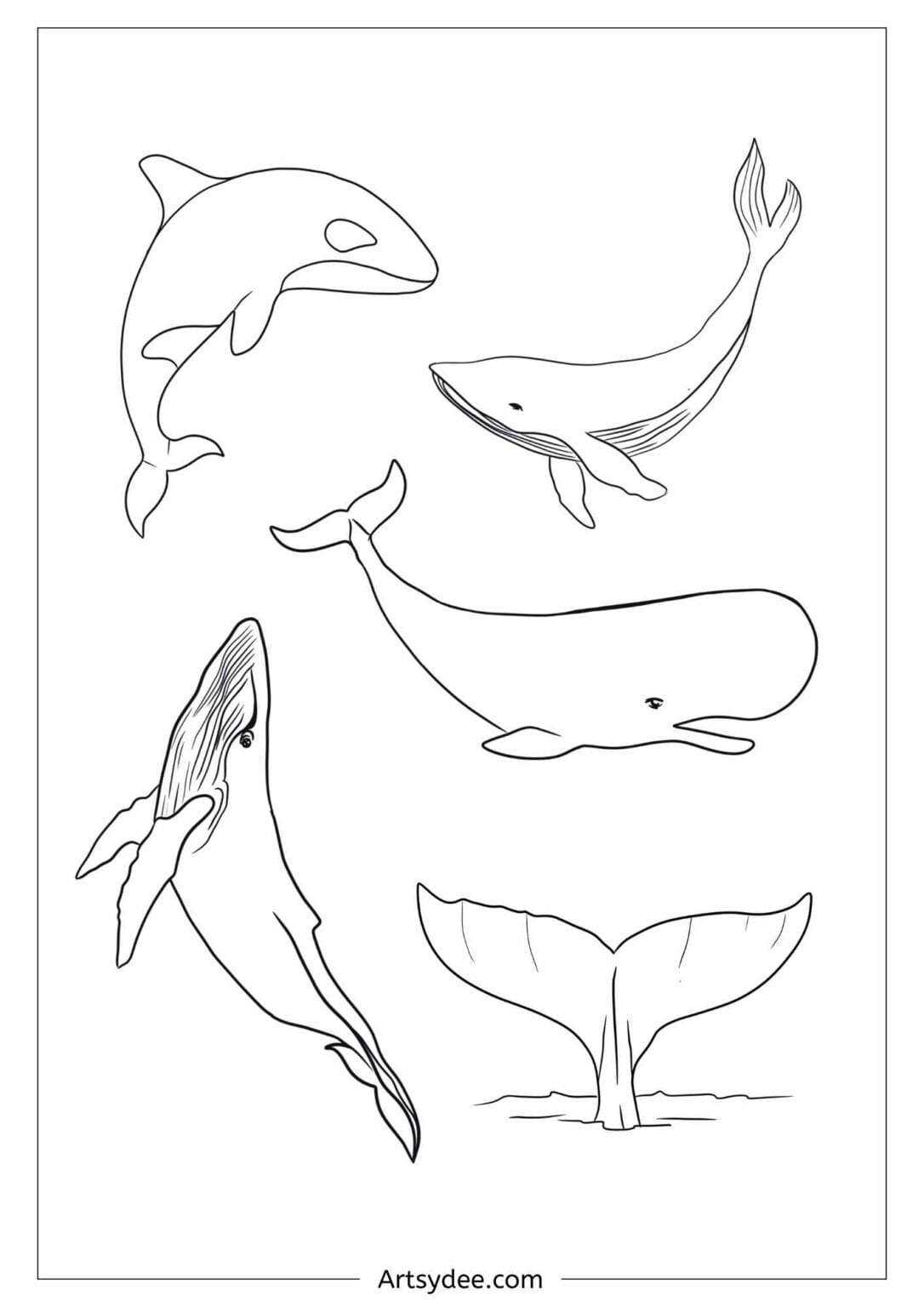 20+ Free Printable Whale Templates for Watercolor & Crafts! - Artsydee ...