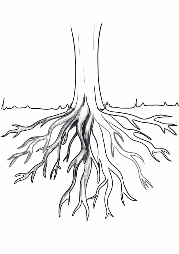 Draw Tree Roots in 10 Easy Steps! - Artsydee - Drawing, Painting, Craft ...