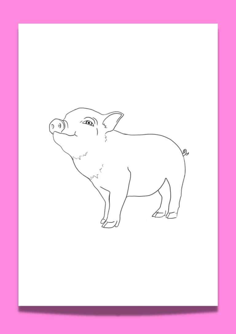 7 FREE Pig Template Printables - Artsydee - Drawing, Painting, Craft ...