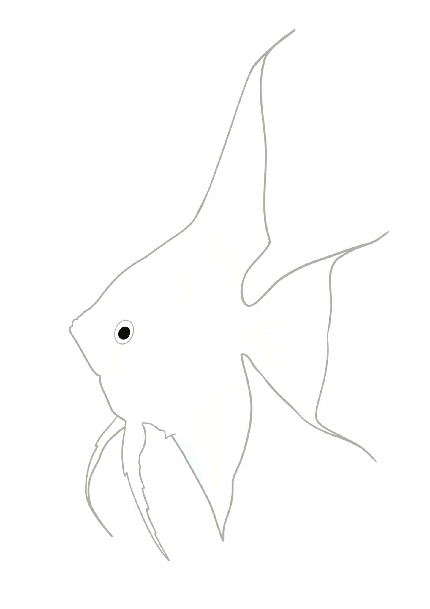 8 FREE Angelfish Template Printables - Artsydee - Drawing, Painting ...