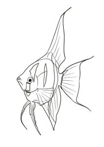 8 FREE Angelfish Template Printables - Artsydee - Drawing, Painting ...