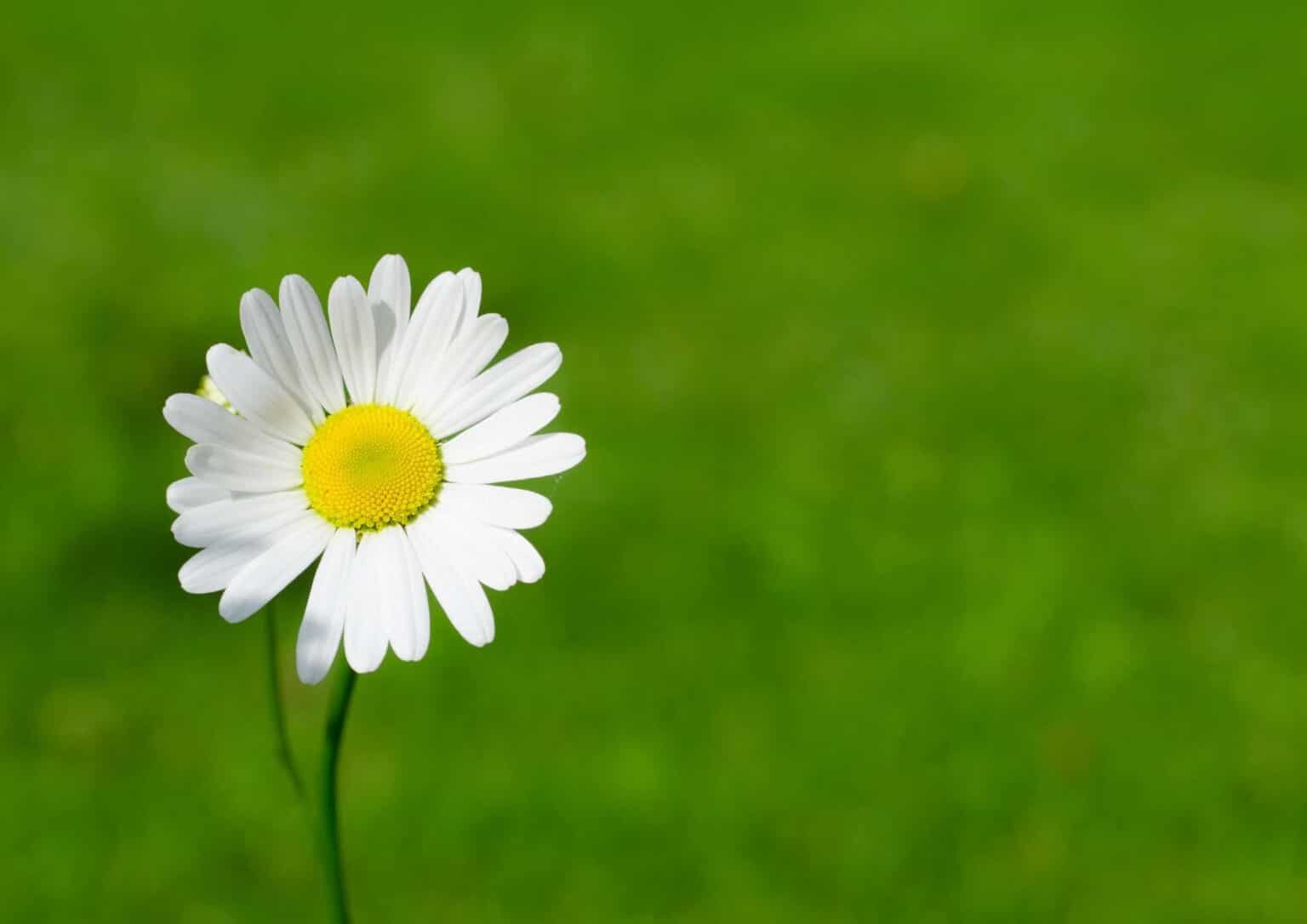 121 Easy-to-Draw Objects for Creative Minds - Artsydee - Drawing ...