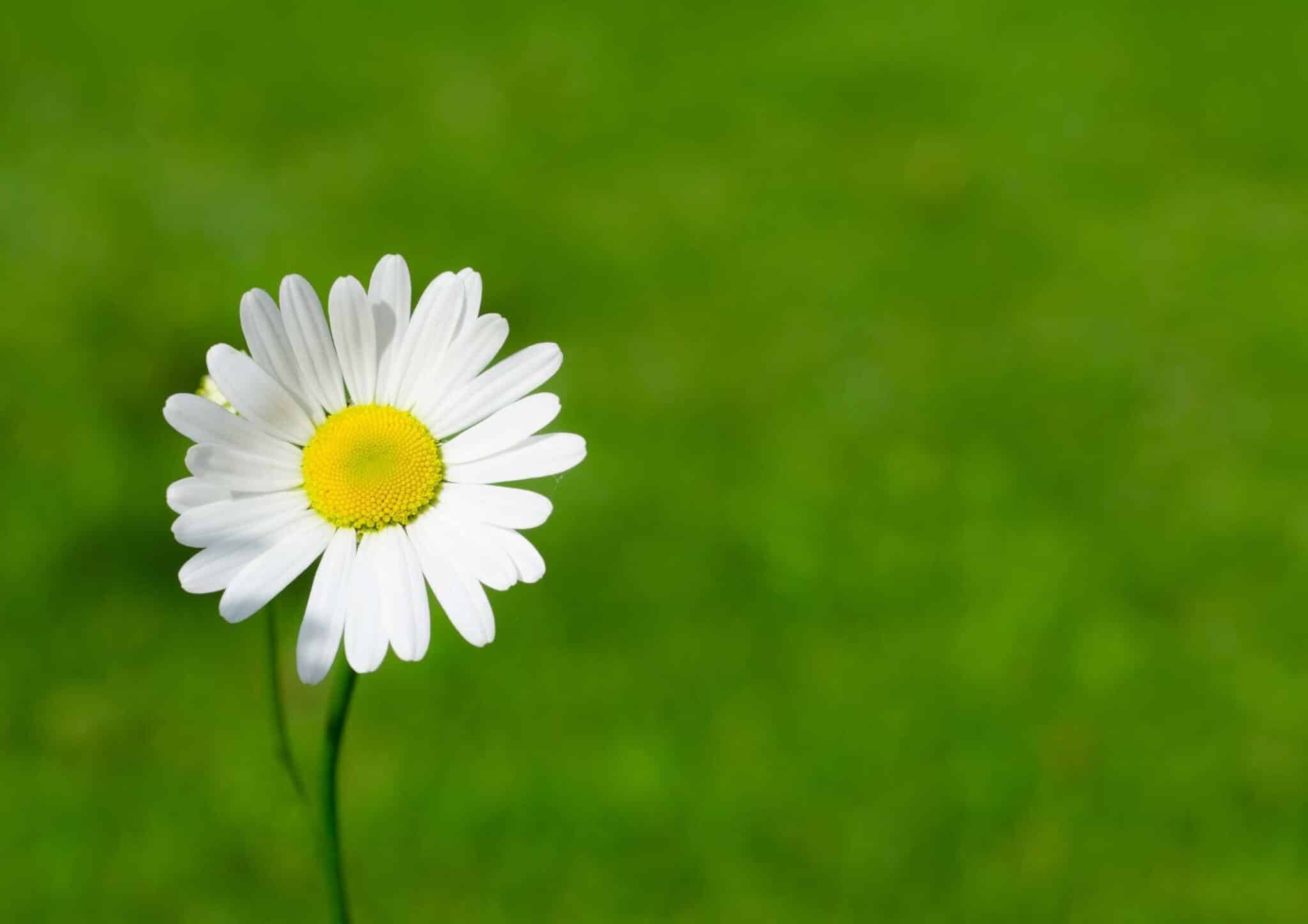 121 Easy-to-Draw Objects for Creative Minds - Artsydee - Drawing ...