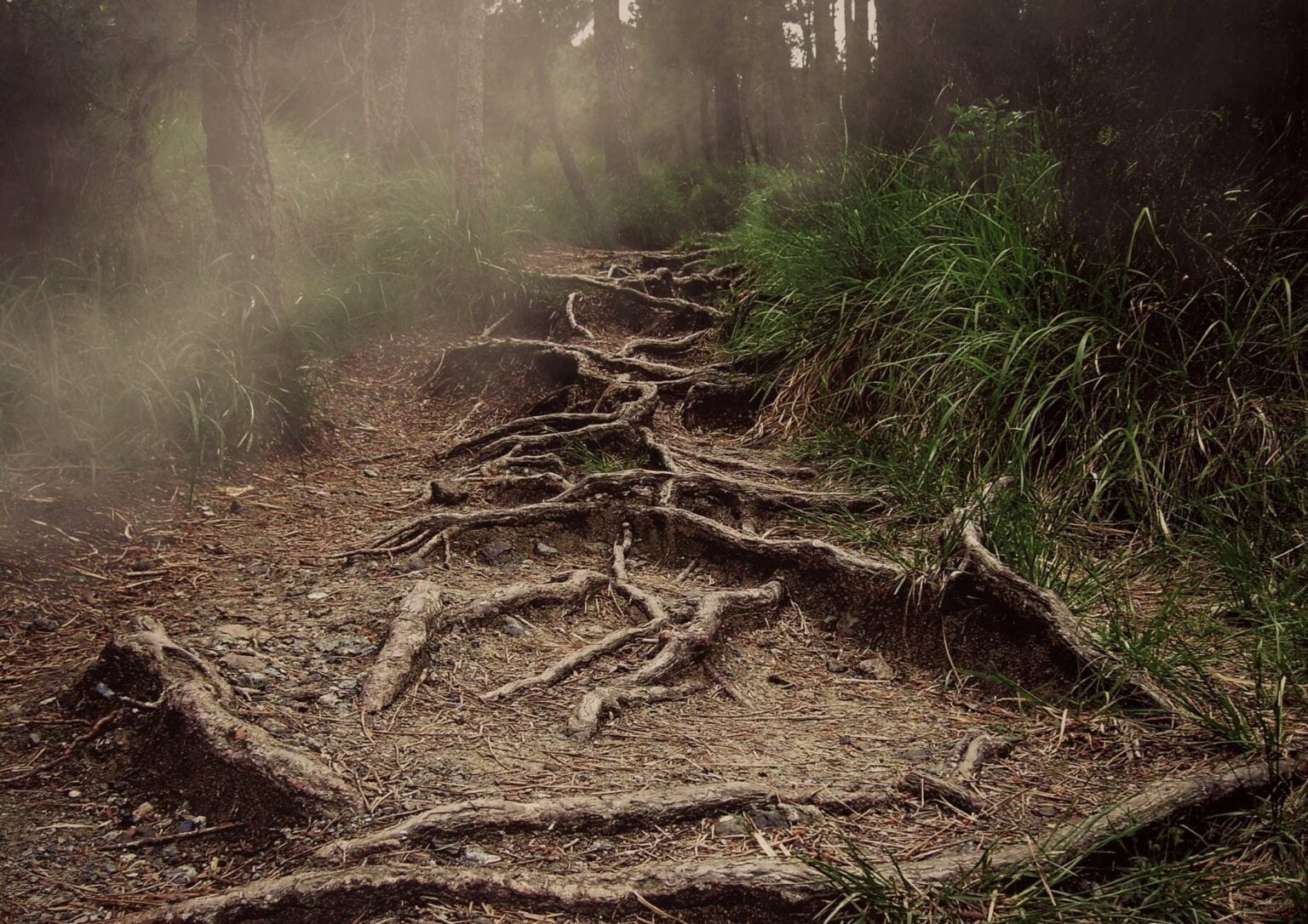 121 Easy-to-Draw Objects for Creative Minds - Artsydee - Drawing ...