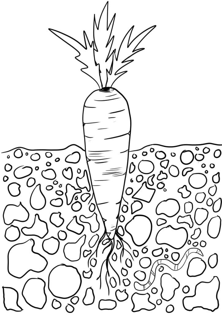 5 FREE Carrot Template Printables! - Artsydee - Drawing, Painting ...