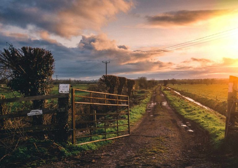 How to Draw a Background | 11 Easy Tips for Beginners - Artsydee ...