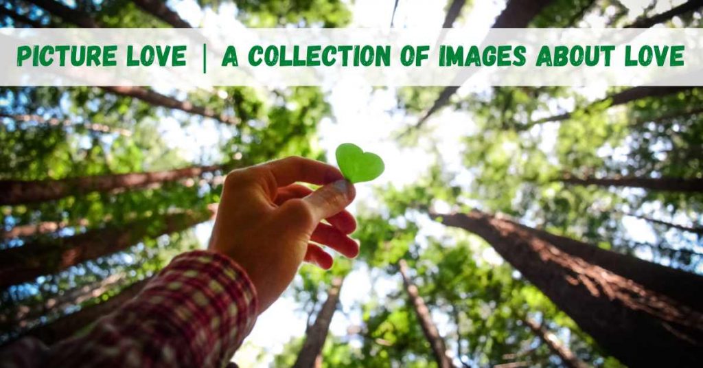 Picture Love | A Collection of 30 Touching, Sweet, and Romantic Images About Love - Artsydee ...