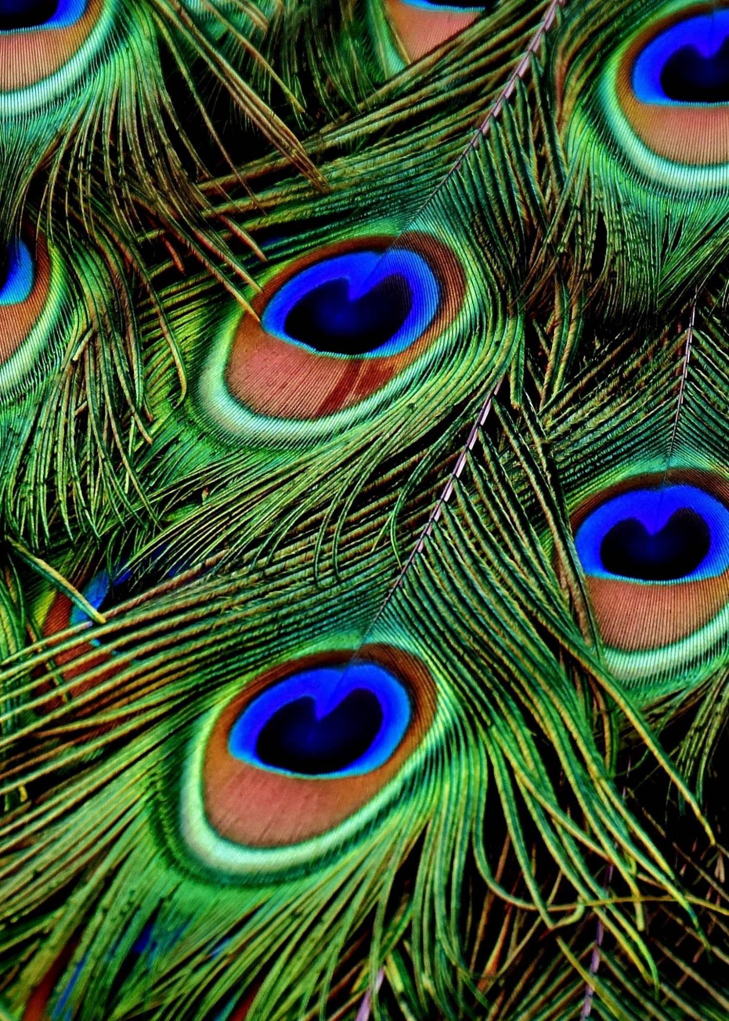59 Gorgeous Aesthetic Drawing Inspirations For Creative Minds 59-gorgeous-aesthetic-drawing-inspirations-for-creative-minds