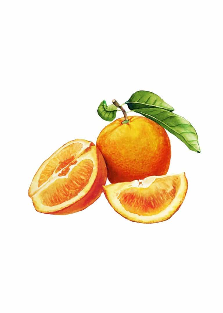 70+ Aesthetic Things to Draw: Creative Sketchbook Inspiration ...