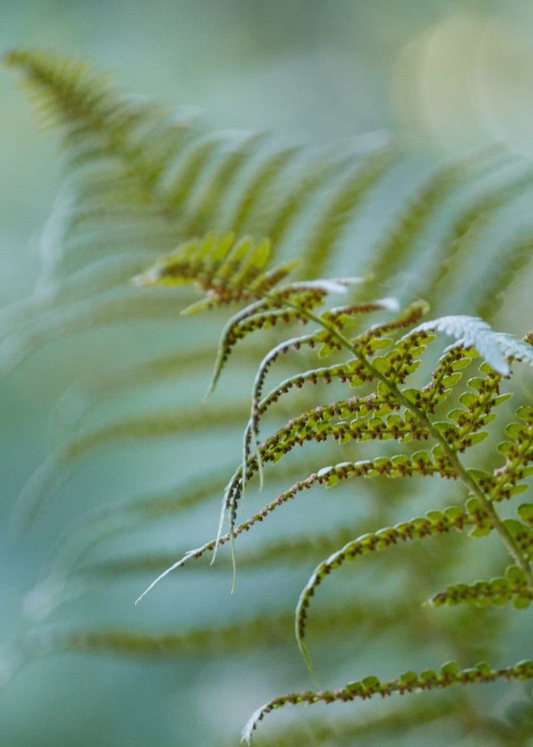 70+ Aesthetic Things to Draw: Creative Sketchbook Inspiration ...