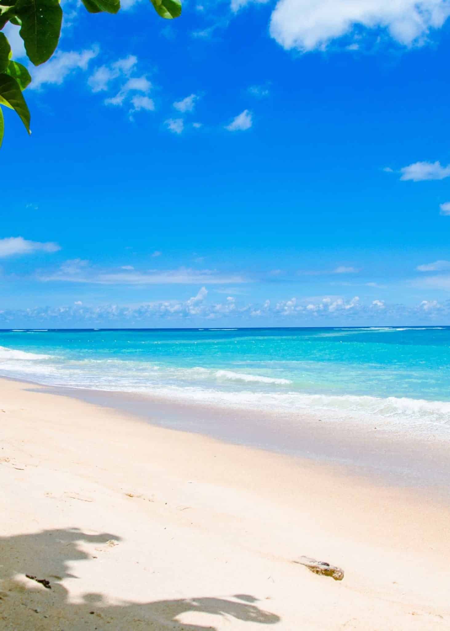 70+ Aesthetic Things to Draw: Creative Sketchbook Inspiration ...