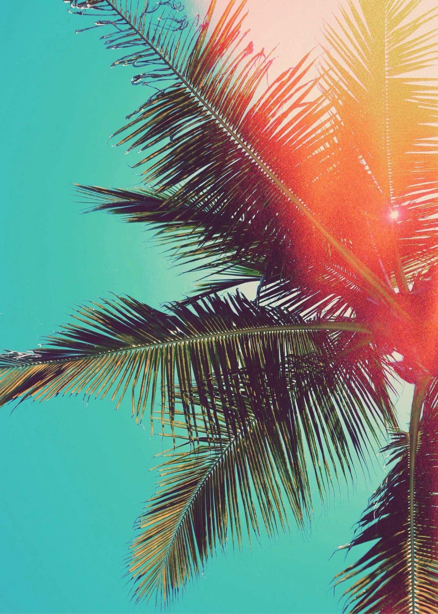 70+ Aesthetic Things to Draw: Creative Sketchbook Inspiration ...
