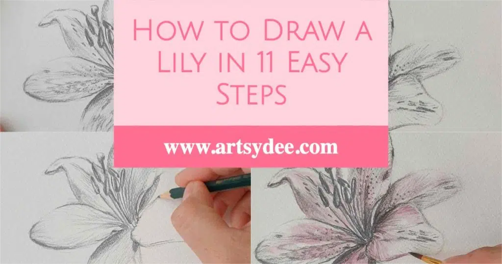 How To Draw A Lily Step By Step