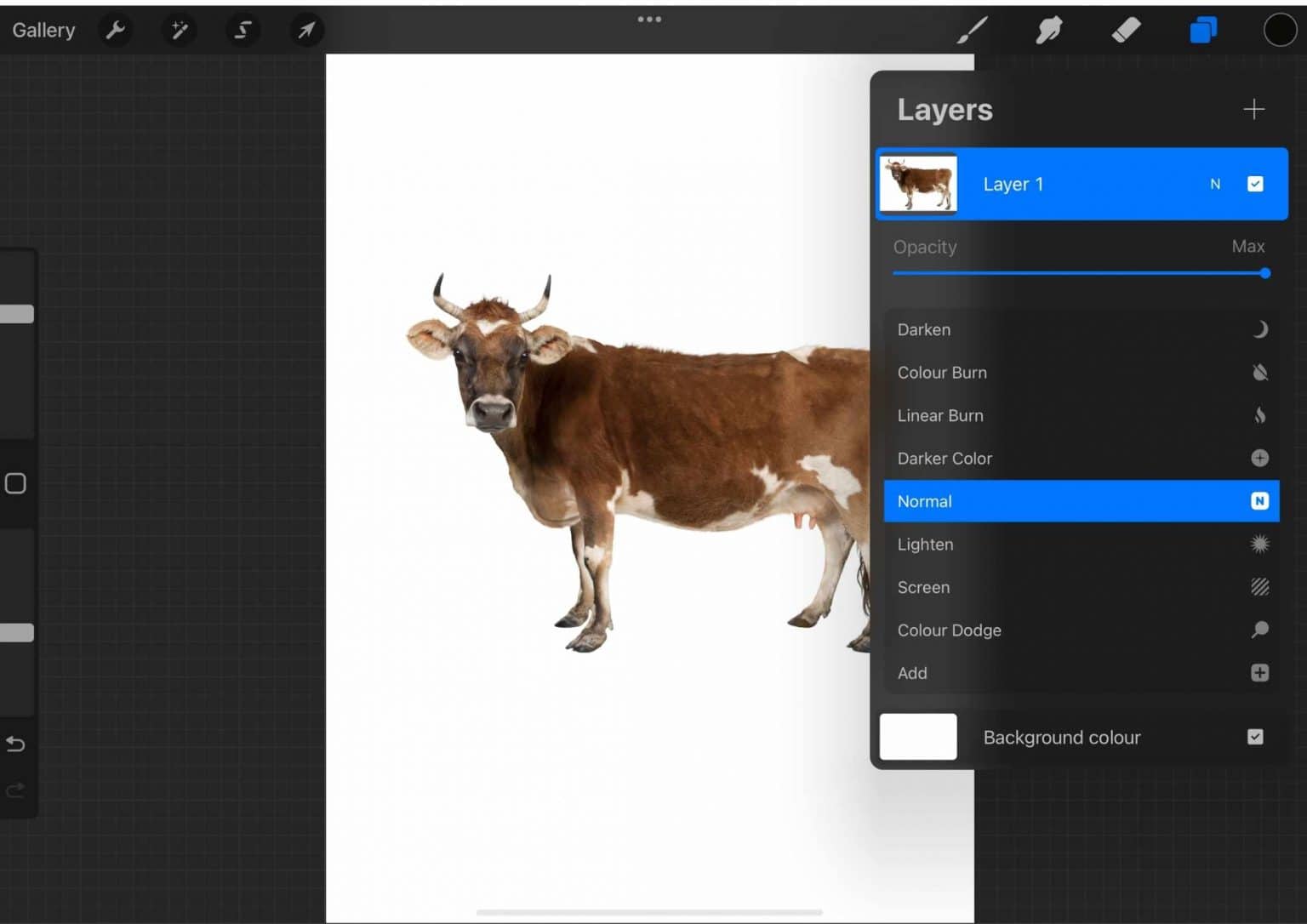 How To Trace On Procreate in 11 Easy Steps - Artsydee - Drawing ...