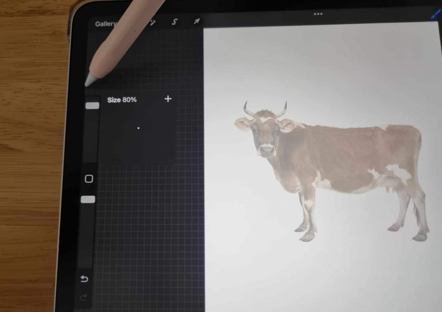 How To Trace On Procreate in 11 Easy Steps - Artsydee - Drawing ...