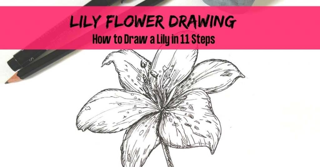 How to Draw a Lily | Easy Lily Flower Drawing Tutorial - Artsydee ...