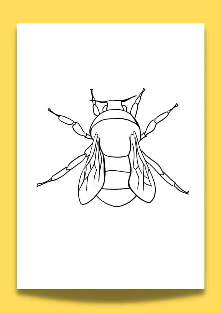 3 x Free Printable Bumble Bees - Artsydee - Drawing, Painting, Craft ...
