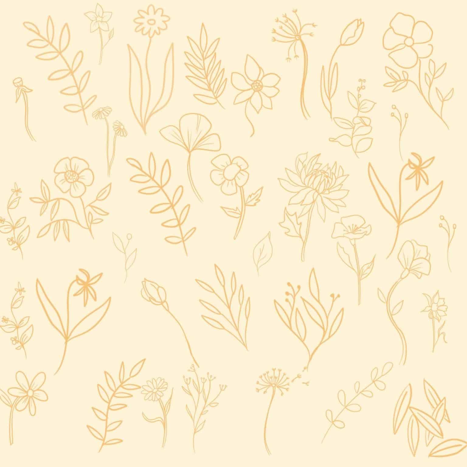 Flower Brush Procreate: 33 Free Hand-Drawn Flowers for iPad Art ...