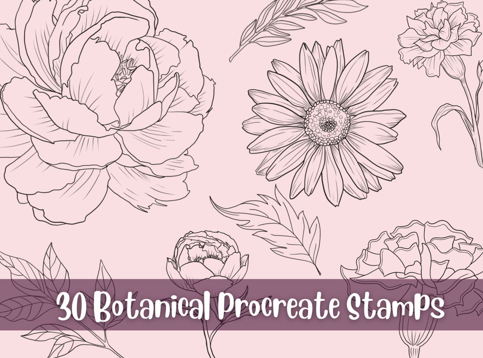 Flower Brush Procreate: 33 Free Hand-Drawn Flowers for iPad Art ...