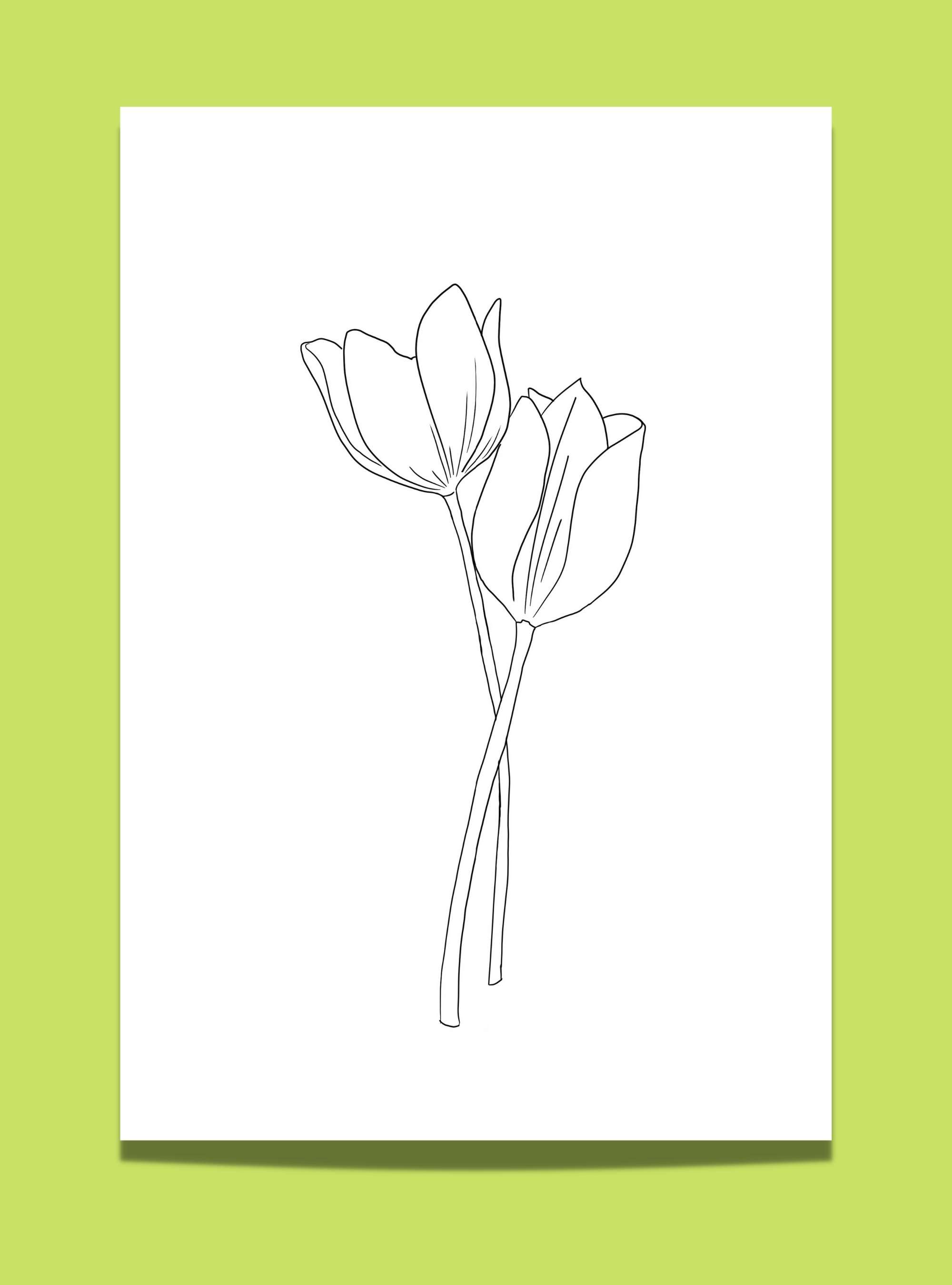 Looking for a Tulip Template? 5 x Free Printable Tulips for Your ...