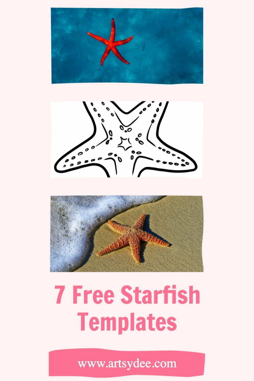 Looking for a Starfish Template? 7 Free Starfish Printables for ...