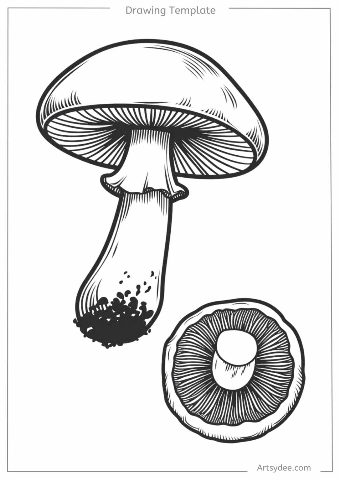 How to Draw a Mushroom: Step-by-Step Guide for Beginners - Artsydee ...