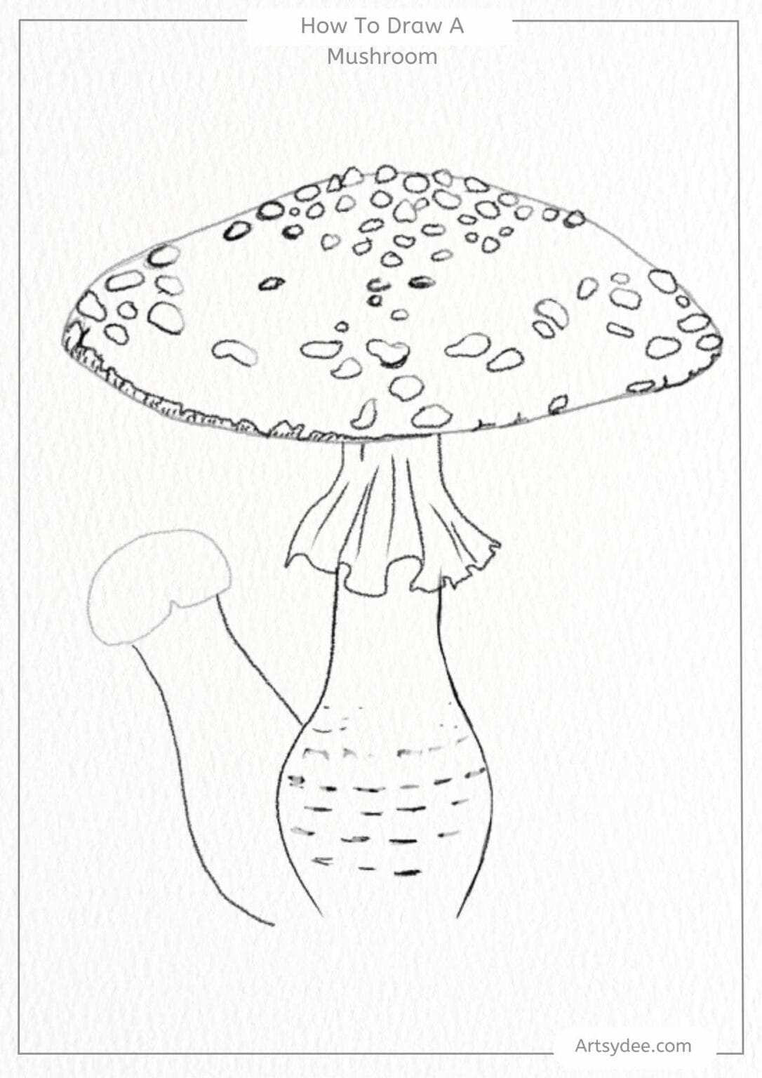 How to Draw a Mushroom: Step-by-Step Guide for Beginners - Artsydee ...